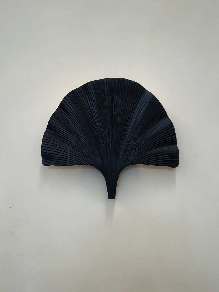 Info : Curly Haircut Appointments - HAIRSPELL